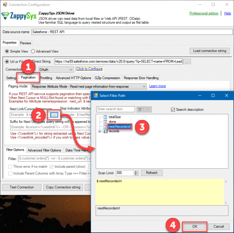 How to call Salesforce REST API via ODBC driver | ZappySys Blog